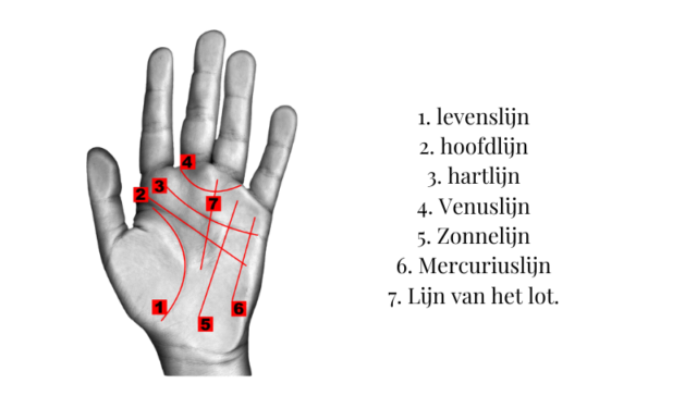 Handlezen: Een complete gids - Global Heart